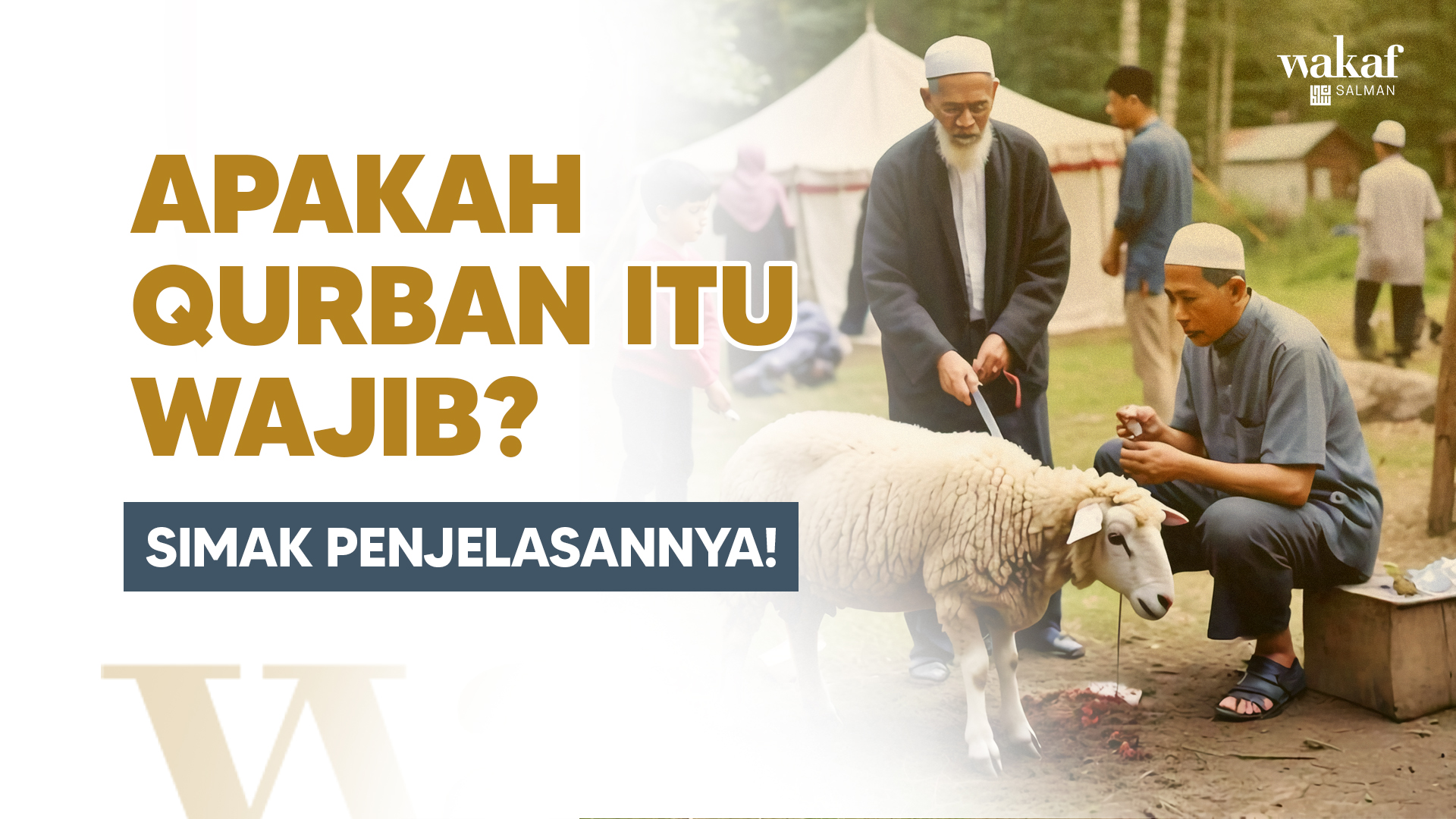 Apakah Qurban Itu Wajib? Simak Penjelasannya! - Wakaf Salman